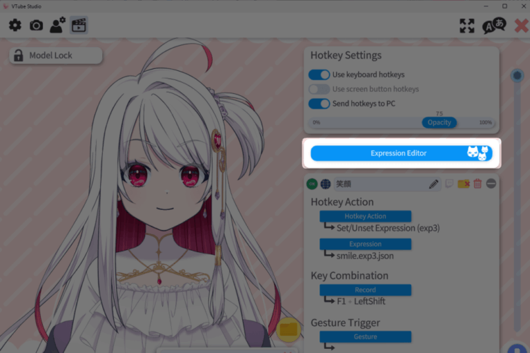 How to install and launch Your Model in VTube Studio | Saraemi